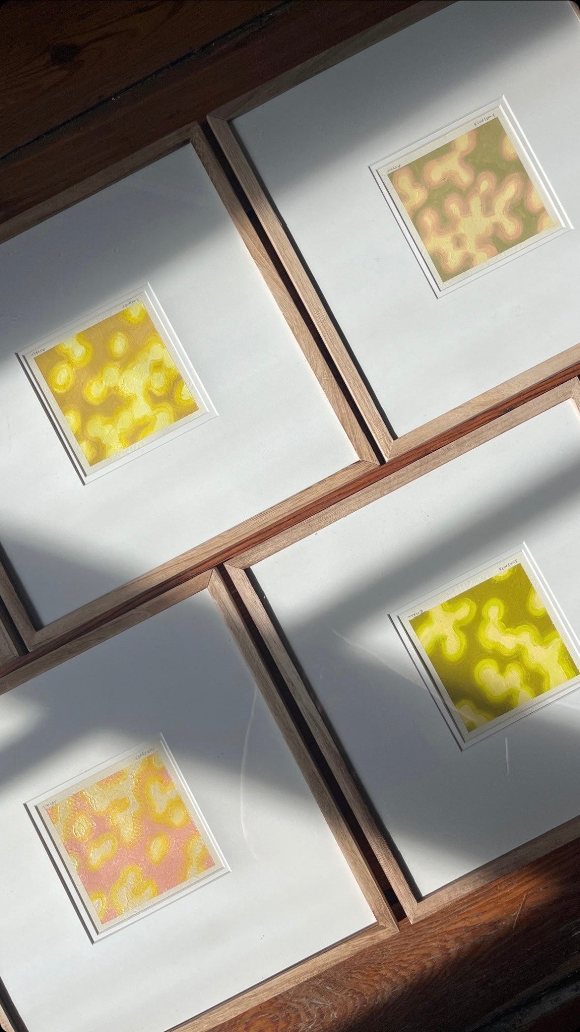 sunspots 4x4 paintings by mary royall wilgis – union